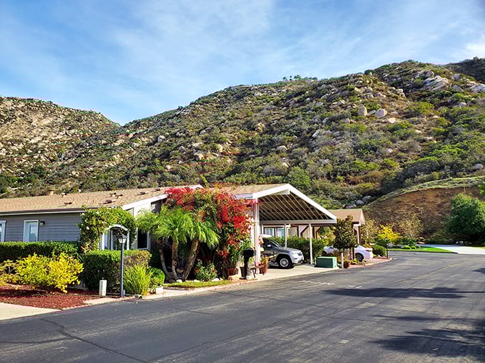 Hillside living meets budget-friendly retirement - where views cost nothing extra but deliver everything you need.