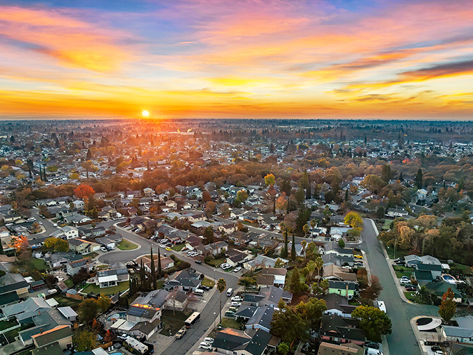 Wide streets and tall palms in Citrus Heights - it's like someone designed a city for Sunday drives. 