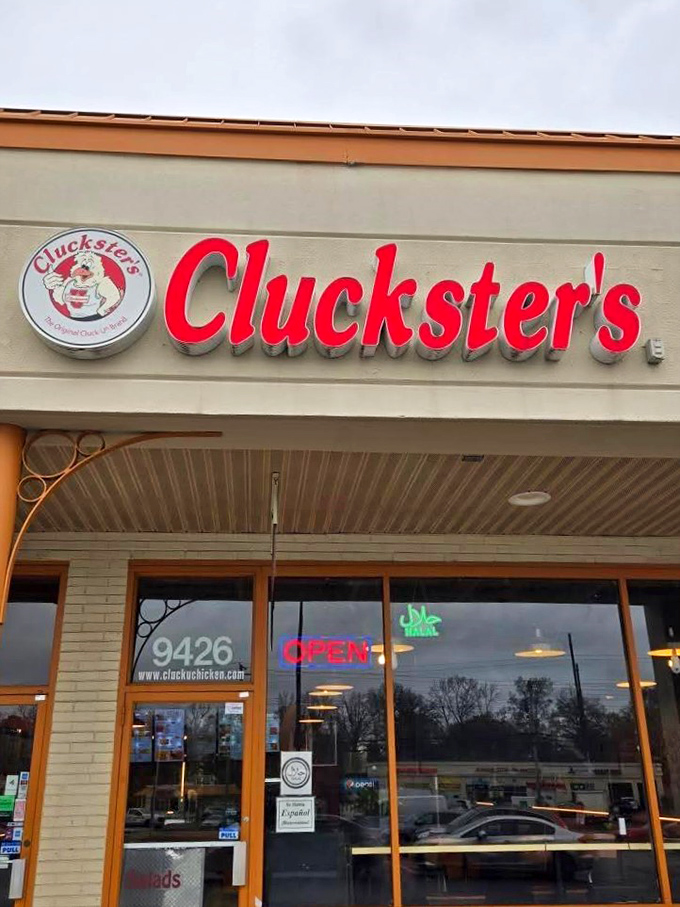 The bright Cluckster's sign promises halal chicken worth crossing county lines for. Sometimes the best food comes from the most unassuming places.