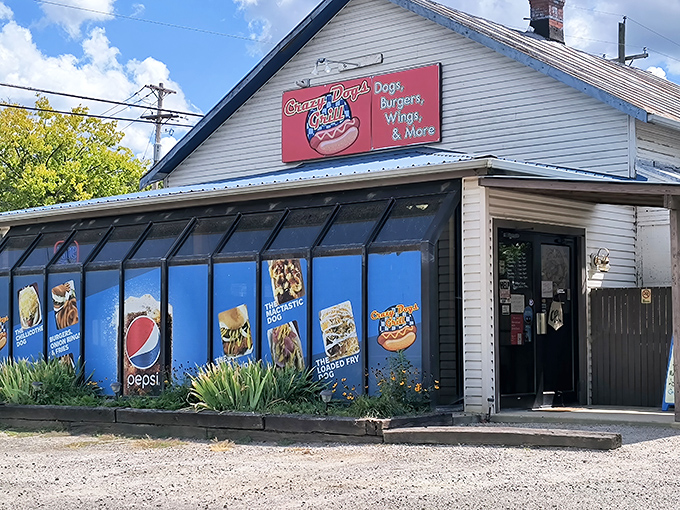 From the colorful food posters to the bright red sign, Crazy Dogs Grill makes it clear that comfort food with plenty of character is what’s on the menu.