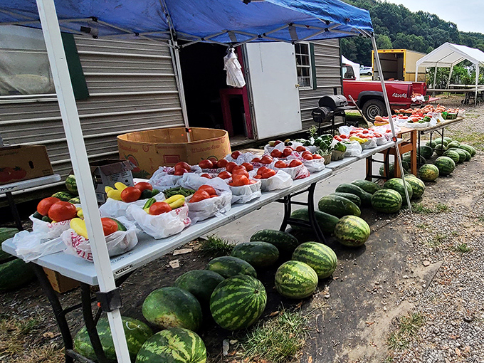 Watermelons lined up like green bowling balls show summer's bounty at its absolute finest.