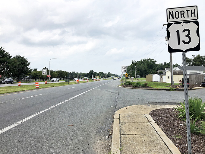Route 13 stretches ahead like a ribbon of possibilities through Delaware's heartland countryside.