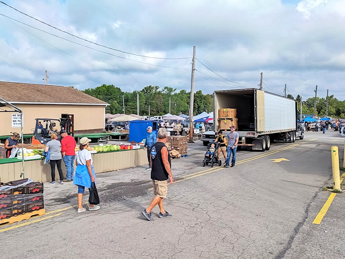 Bargain hunters paradise! Four Seasons Market offers everything from farm-fresh produce to one-of-a-kind collectibles.