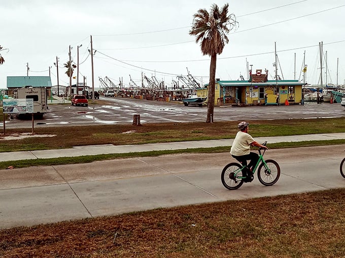 Fresh Gulf breezes carry the promise of tomorrow's catch while today's boats rest peacefully in port.
