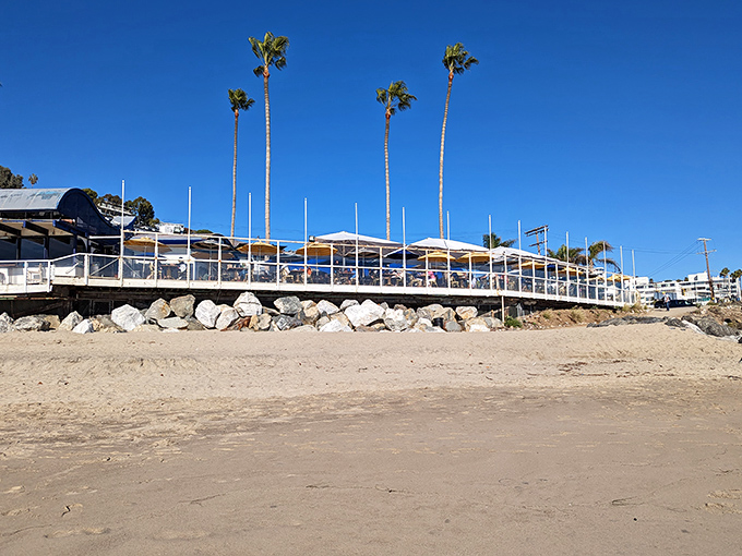 Where Santa Monica's endless energy meets timeless coastal dining in perfect sandy harmony.
