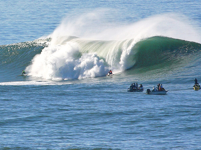 These coastal bluffs offer front-row seats to the Pacific's greatest show – no tickets required, ever.