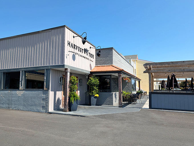 Morning light bathes Harvest Tide in possibility, while those copper accents hint at the warmth waiting inside.