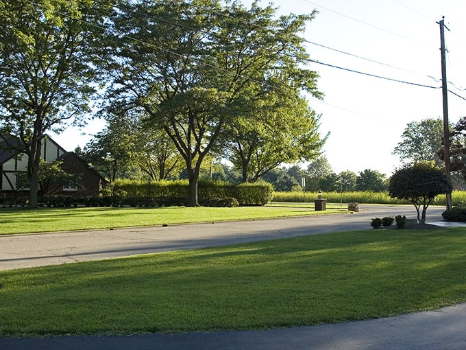 Hermitage offers suburban tranquility with tree-lined streets and green spaces—McMansion living without the McMansion prices.