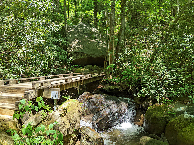 Storybook crossing! This charming wooden bridge invites you into a Tolkien-esque adventure where that massive boulder might just be a sleeping troll.