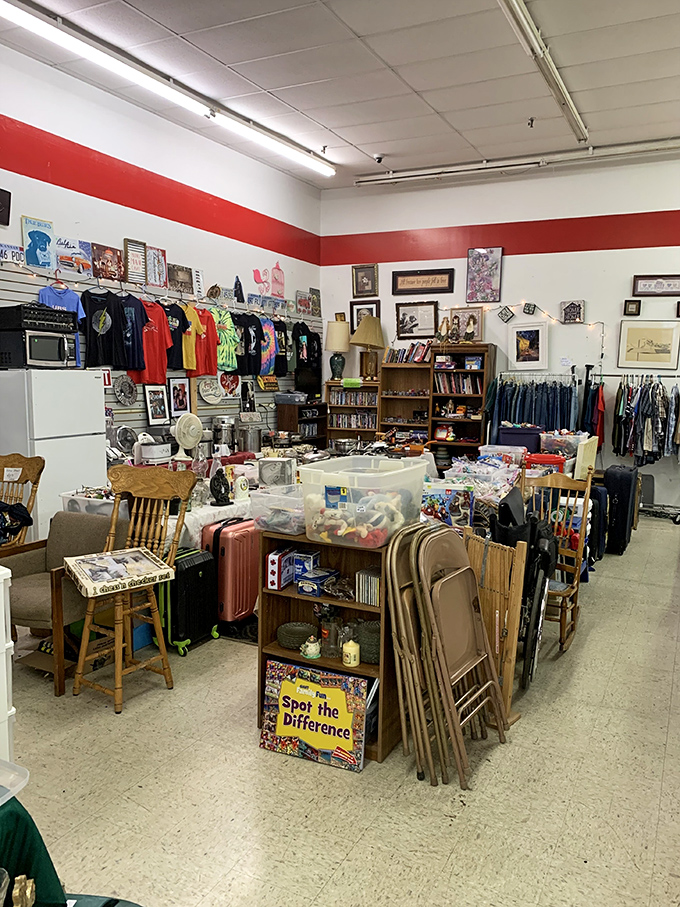 Organized chaos at its finest! This vendor's booth showcases the delightful variety that makes flea market shopping an adventure in unexpected discoveries.