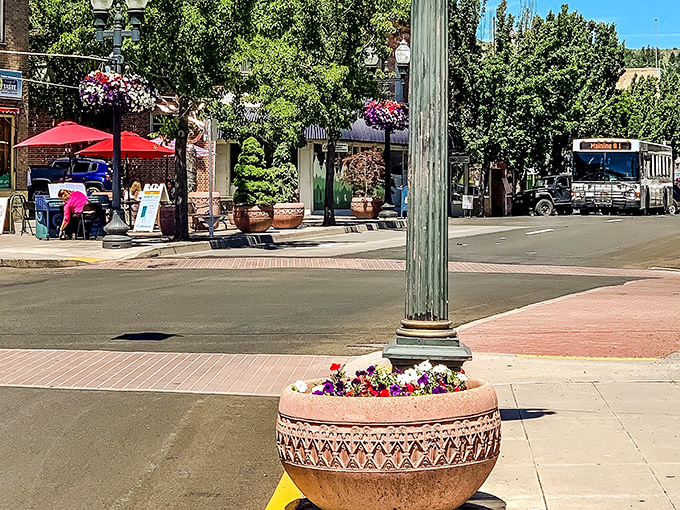 Flower planters and tree-lined streets make Klamath Falls' downtown inviting for retirees seeking beauty on a budget.