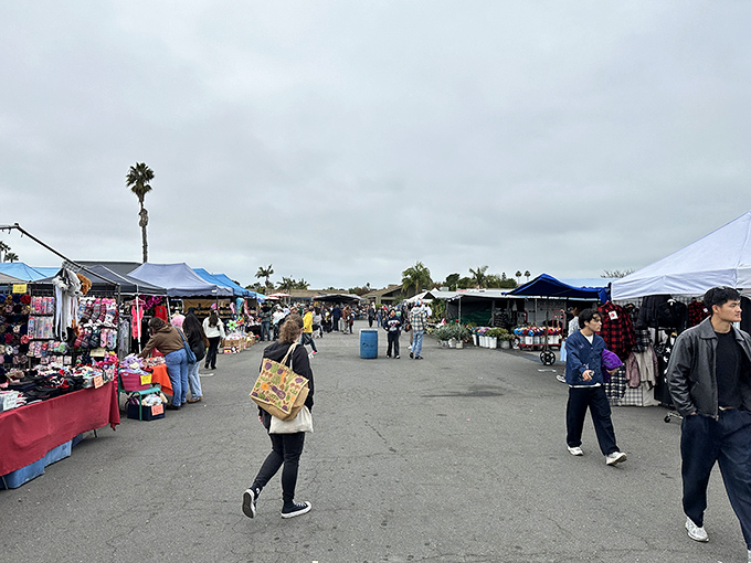 Oceanside breezes carry the excitement of discovery as families explore this massive swap meet paradise together.