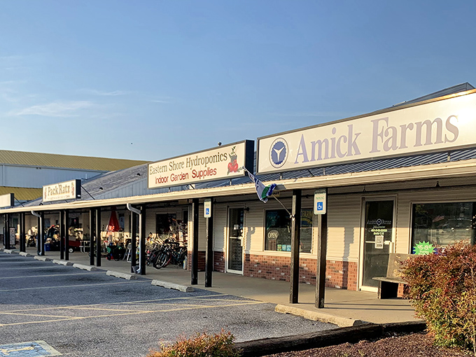 Main Street Laurel proves that sometimes the best treasures are hiding in plain sight. 