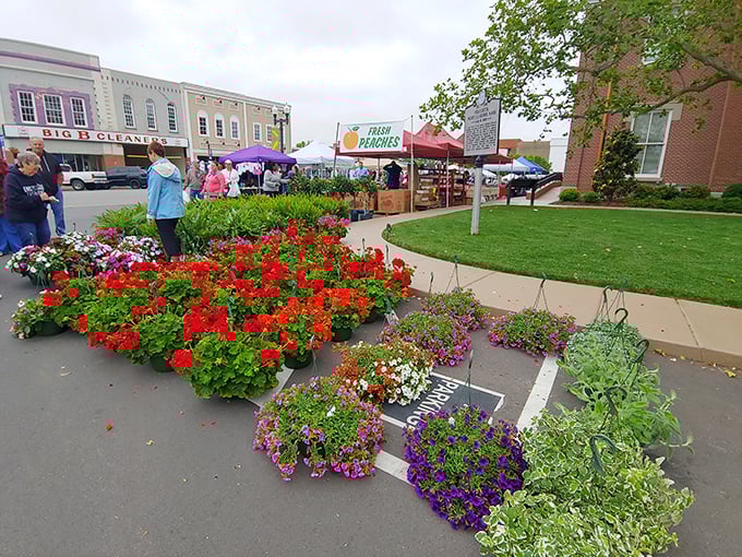 Vibrant flowers and fresh produce create a kaleidoscope of color against the town's historic buildings. Instagram-worthy shopping at its finest.