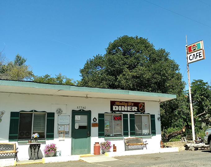 Sometimes the best diners are the ones that look like they've been feeding folks since forever.