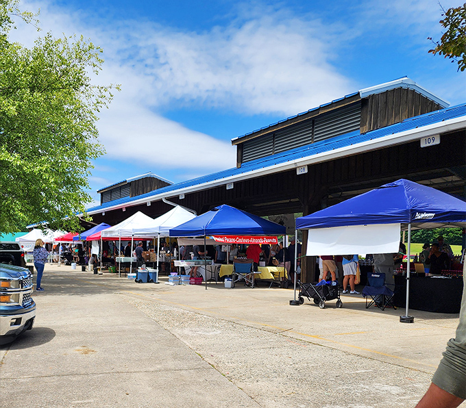Blue tents create a festival atmosphere where fresh air shopping meets serious bargain hunting adventures.