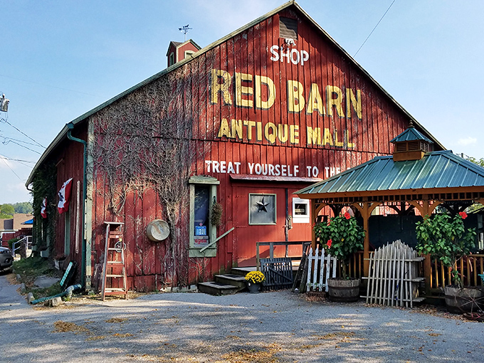 "Treat Yourself to the Best" isn't just a motto - it's a promise painted right there.