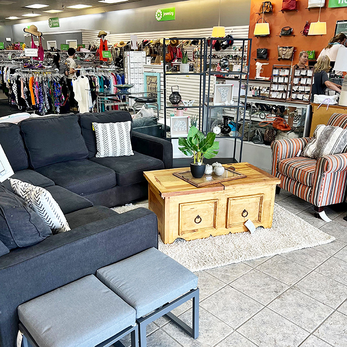 Inside Revive, furniture displays rival high-end showrooms, proving secondhand can look absolutely first-class.