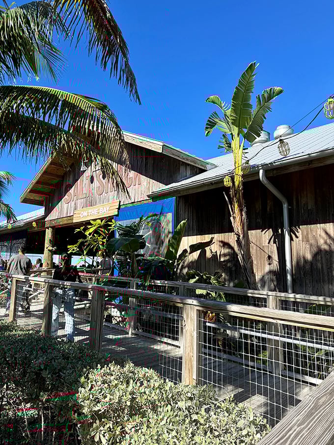 This isn't just a restaurant &ndash; Salt Shack is a front-row seat to Tampa Bay's most spectacular daily show: sunset.