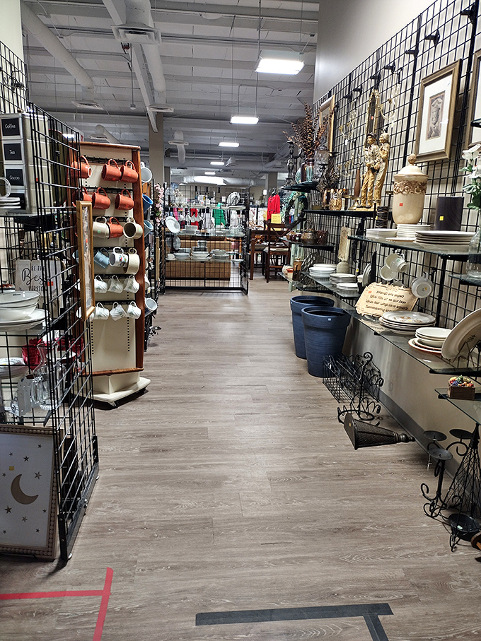 Organized household goods create a shopper's wonderland where every item tells a story.