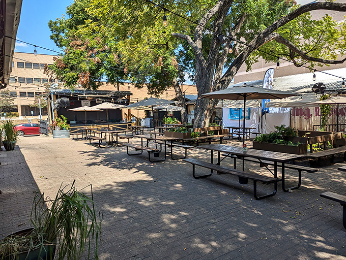 Generations have gathered under these trees at Scholz Garten, where Texas history flows through taps and tales alike.