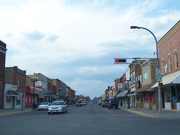 These tree-lined streets create natural shade for pleasant walks to local shops and cafes.
