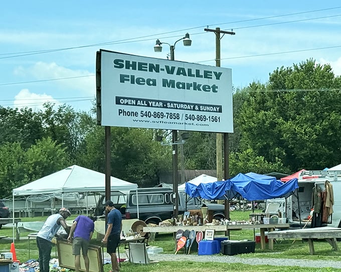 The classic roadside sign stands proud, advertising weekend adventures in the beautiful Shenandoah Valley.
