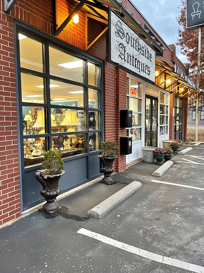Clean lines and professional displays make this Chattanooga shop feel like the sophisticated cousin of traditional antique stores.