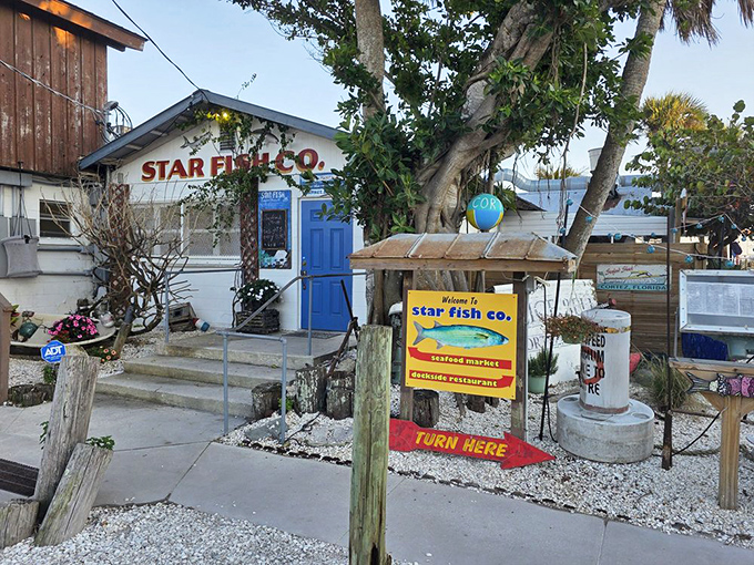 The hand-painted sign and waterfront location promise seafood so fresh it was swimming this morning.
