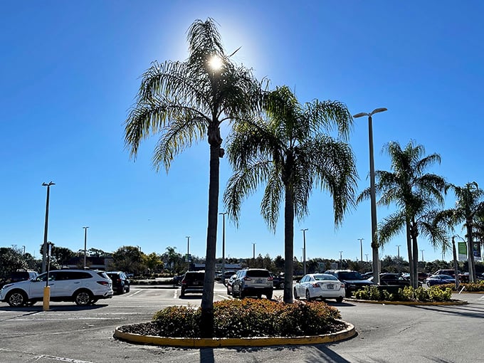 Where palm trees frame the sunshine and even the simplest places feel touched by Florida’s glow.