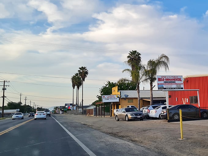 Palm trees and affordable living create the perfect California combination for smart budget-conscious families.