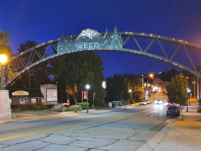 Lights fantastic! Weed's illuminated arch glows against the night sky like a neon welcome mat, proving small towns know how to dress up after dark.