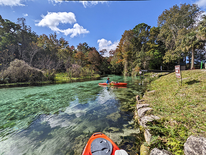 "The perfect blend of natural wonder and retro Florida fun. Those water slides emptying into crystal-clear spring water? That's what vacation dreams are made of."