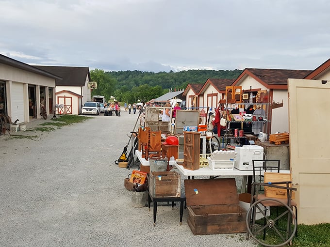 At White's Farm, yesterday's household items become today's discoveries, displayed along rustic pathways of possibility.