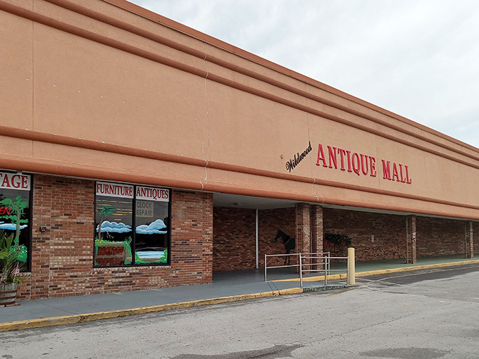 That classic mall architecture promises endless aisles of discoveries, each corner hiding something completely unexpected and wonderful.