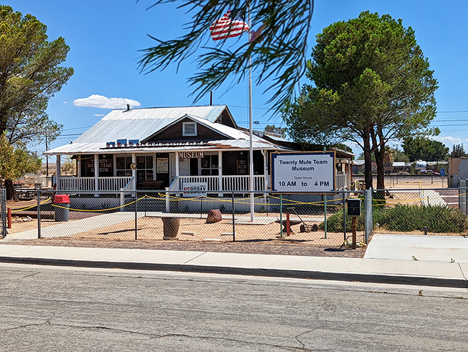 The Twenty Mule Team Museum preserves Boron's colorful mining heritage with the same care that desert air preserves everything it touches.