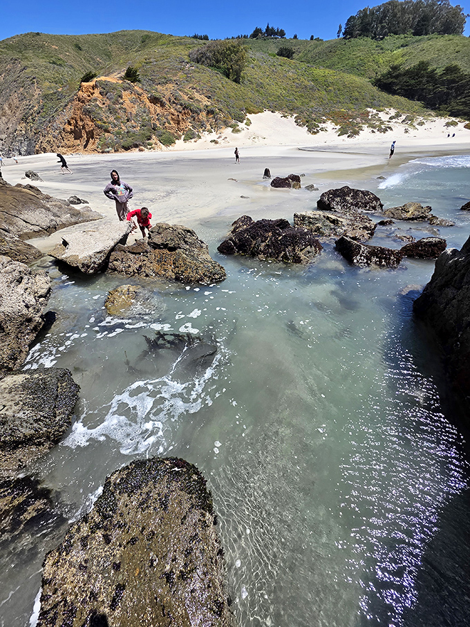 Families discover hidden tide pools and rocky coves where the ocean has carved its own natural playground.