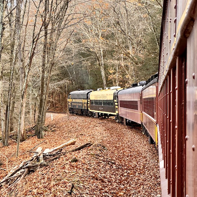 The gentle curve ahead reveals the train's full splendor as it navigates through a carpet of autumn leaves&mdash;Mother Nature's version of the red carpet treatment.
