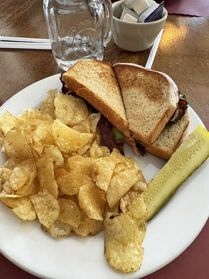 This BLT isn't just a sandwich—it's architecture. The potato chips clustered around it like admirers at a celebrity sighting.