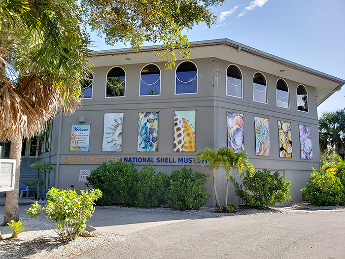 Bailey-Matthews National Shell Museum&mdash;where "she sells sea shells" becomes a scientific expedition rather than just a tongue twister.