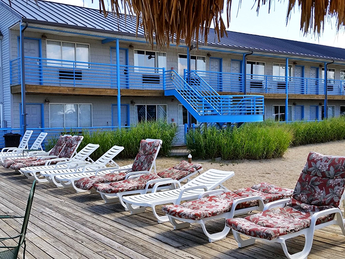 Beach resort living where the lounge chairs outnumber the worries, and the dress code is whatever doesn't have yesterday's lunch on it.