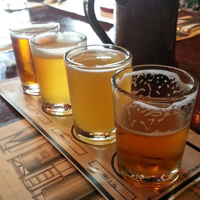 A flight of liquid sunshine, showcasing Iron Hill's brewing prowess. Four distinct personalities in glass form, waiting for you to pick a favorite.