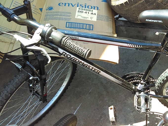 Two-wheeled freedom waiting for its next rider. This Roadmaster bicycle could be someone's daily commuter or a hipster's pride and joy after some TLC.