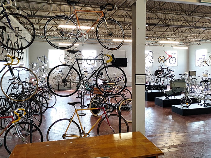 Two-wheeled transportation evolution unfolds in this carefully curated corridor of cycling history and innovation.