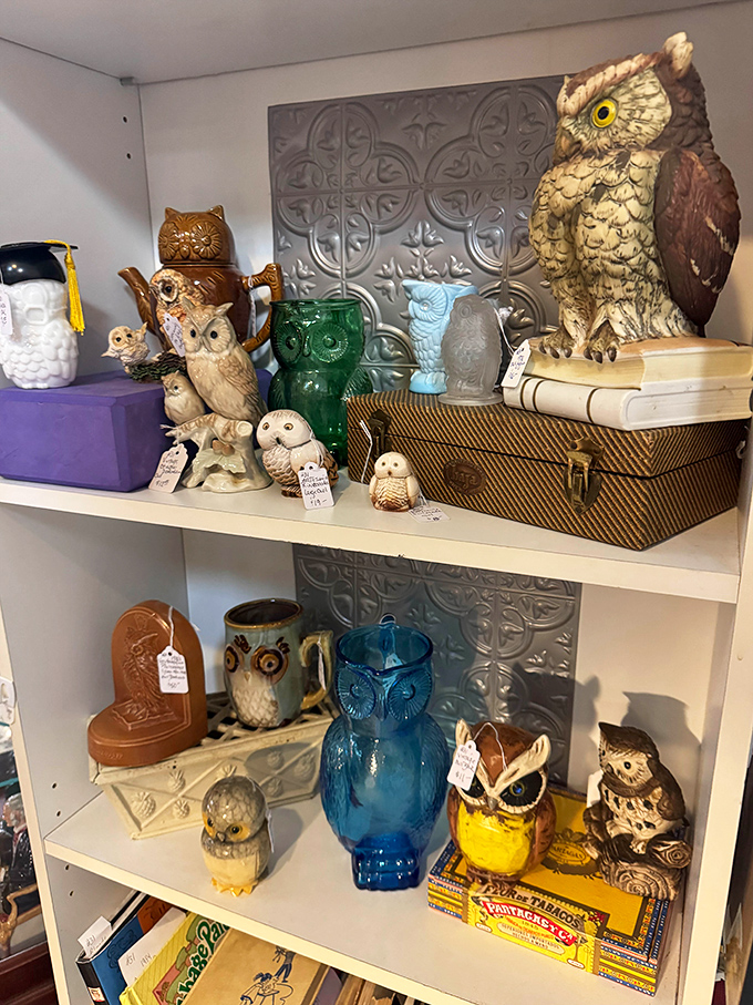The owl collection is a hoot! From ceramic wisdom-keepers to glass night watchers, these birds of prey have become birds of display.