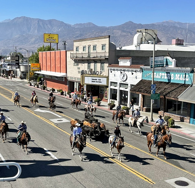 Mule Days brings the Old West thundering down Main Street, proving some traditions are too wonderful to leave behind.