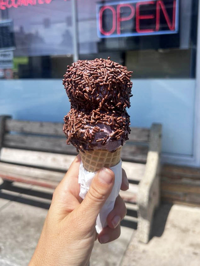 Chocolate sprinkles clinging to ice cream like they've found their soulmate. A relationship more dependable than most dating apps.