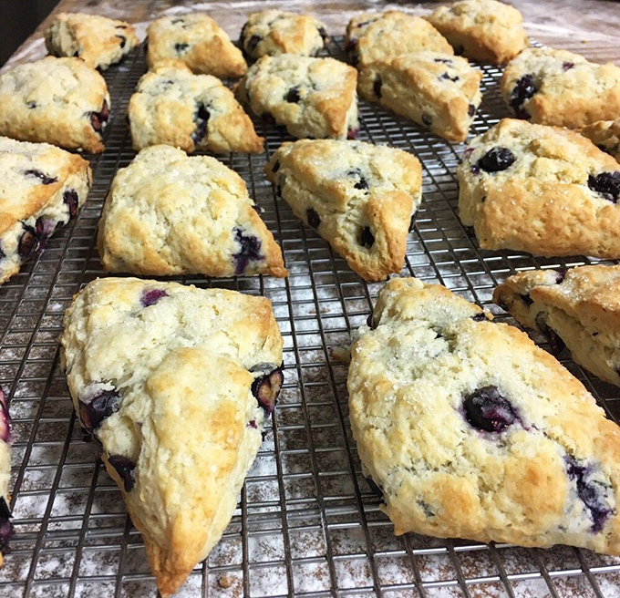 Fresh-baked blueberry scones cooling on the rack &ndash; the unsung heroes of the pastry case. These triangular treasures deserve their moment in the spotlight.