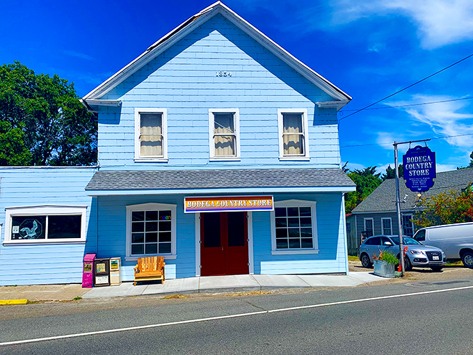 The Bodega Country Store stands as a cheerful blue beacon of small-town necessities and unexpected treasures.