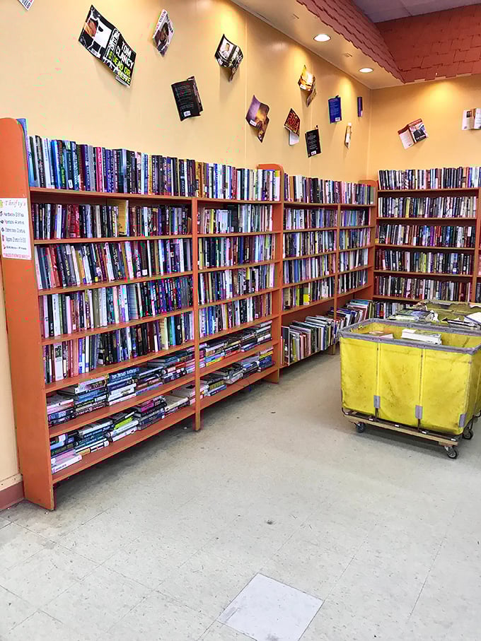 Books stacked floor to ceiling – your next favorite read is definitely lurking somewhere in these shelves.